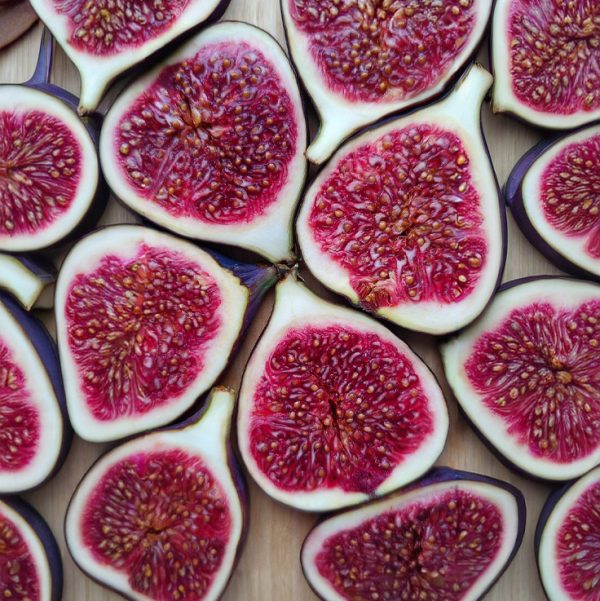 Buying Dried Figs Wholesale Directly from Iran? - Mehrvan Fruits